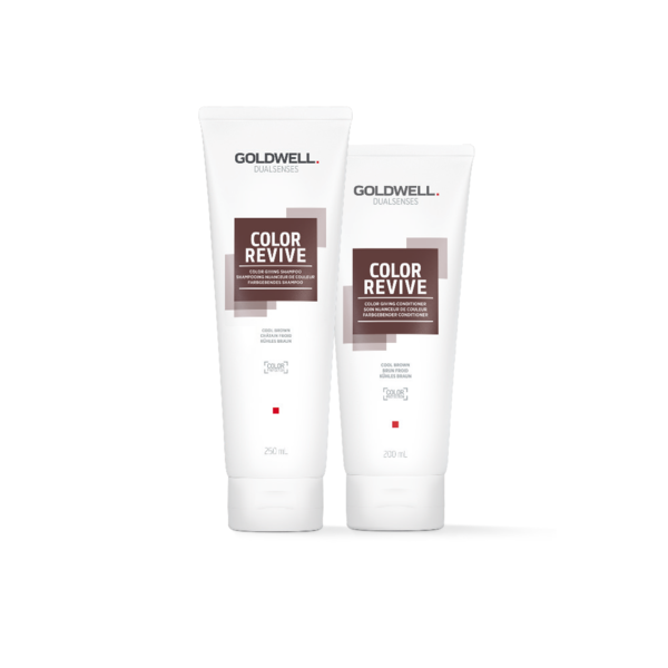 Goldwell Dualsenses Color Revive Color Giving Shampoo | Hairstuff